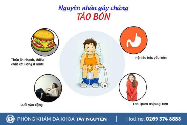 Nguyên nhân táo bón và những điều cần biết